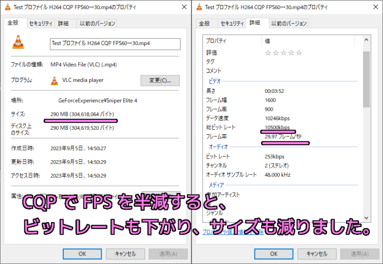 AviUtl 拡張NVEnc出力 で mp4 のサイズを減らす手順3/4 | Compota-Soft-Press